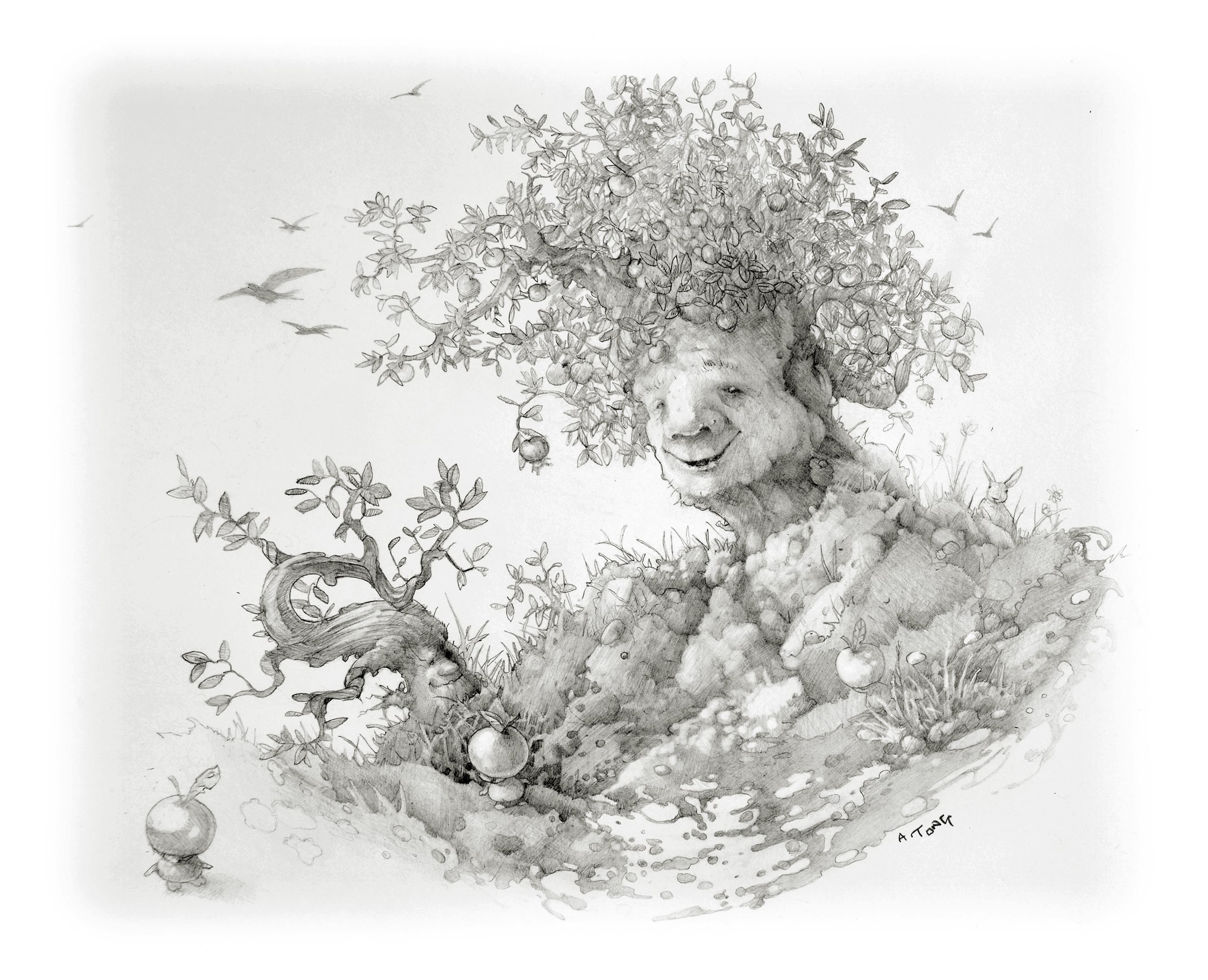 About Treebods and Applings – Andrew Tong Art